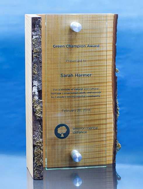 Custom Eco-Friendly Awards, Sustainable Trophies & Plaques